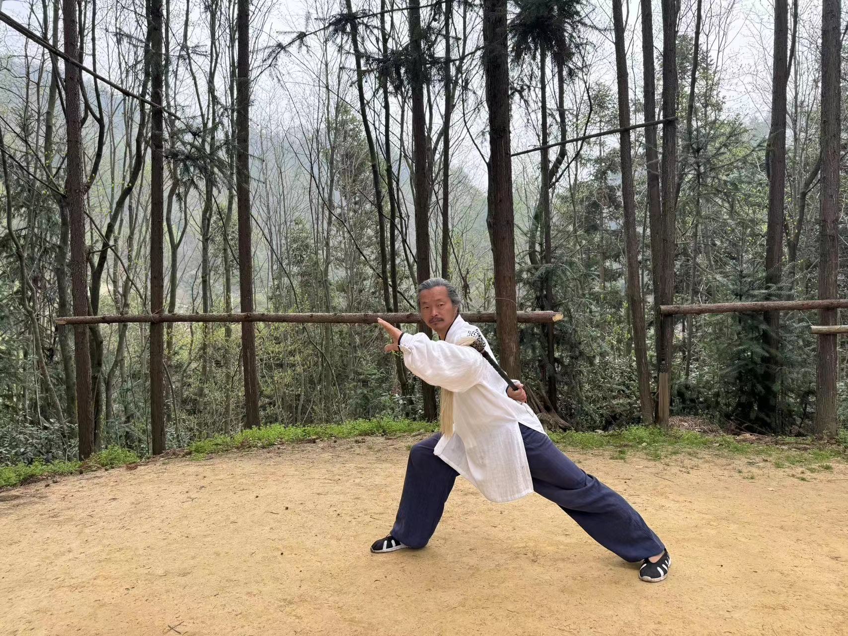 WUDANG TAIJI & FUCHAN WORKSHOP – Raffaella Dorier CONCEPT